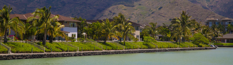 Aiea - Hawaii - Millie