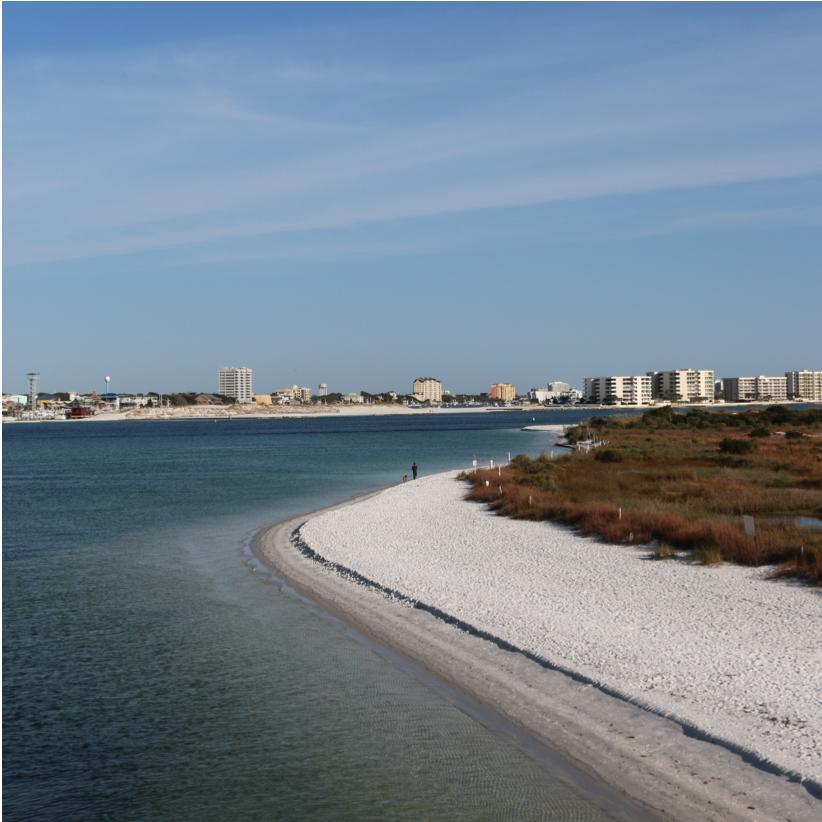 MILLIE Home - Millie